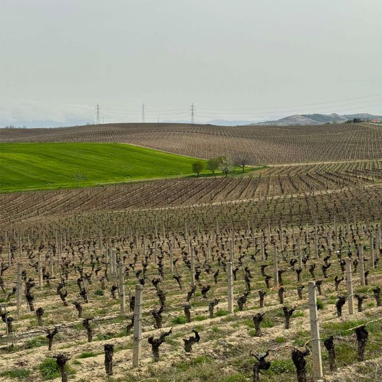 KONTAKT – Moja Vinarija